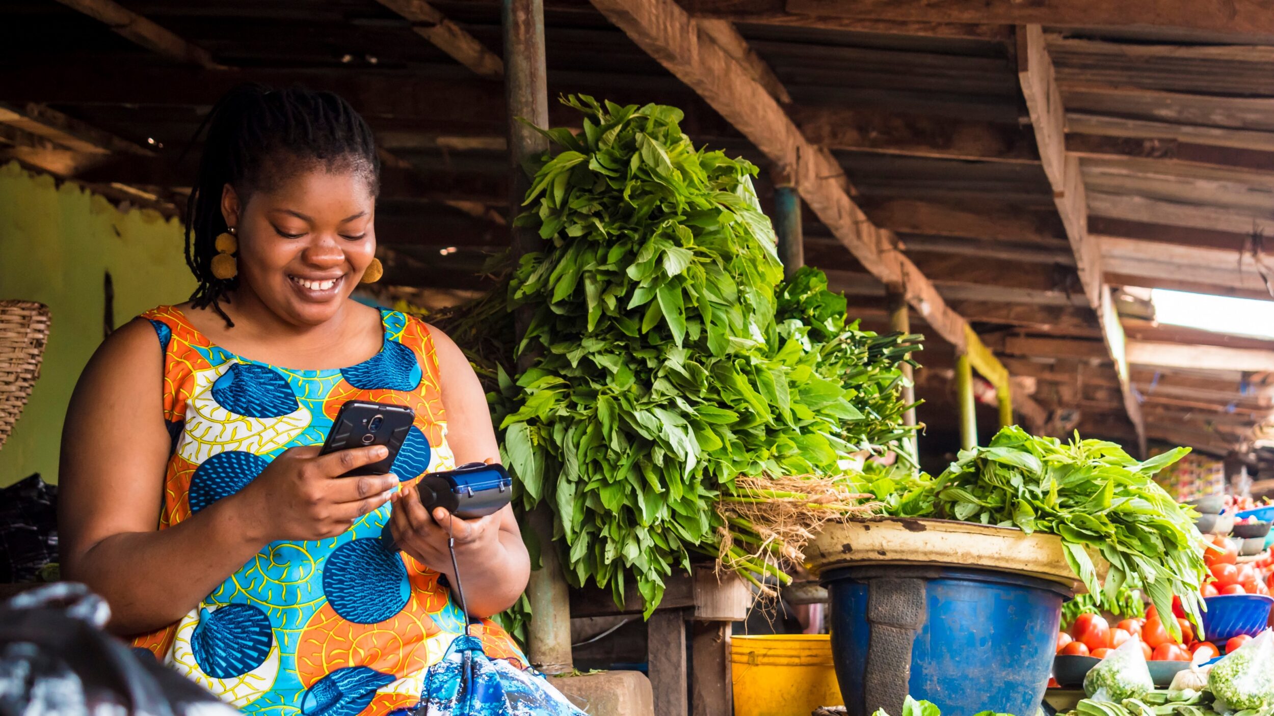 Microlending - Tech Diplomacy